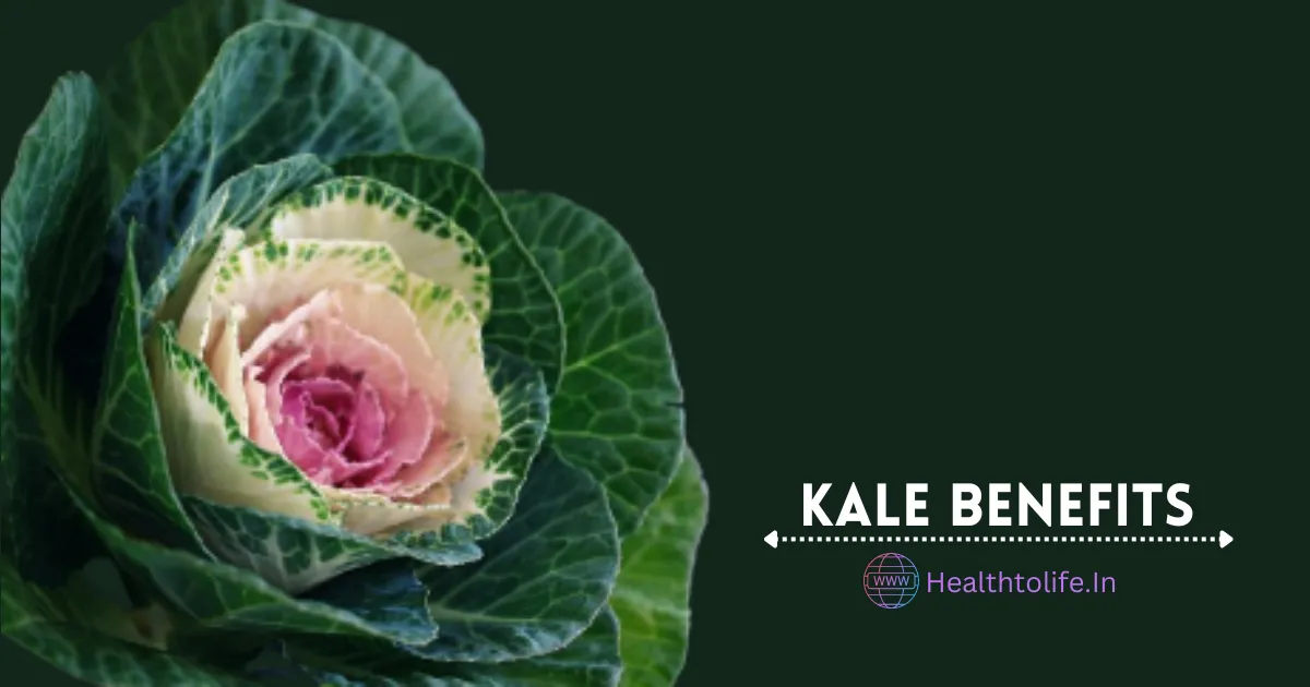 Kale Benefits And Side Effects » Health To Life